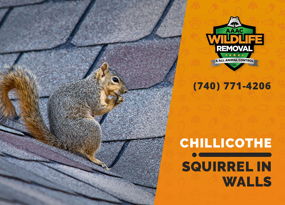 How do I get a squirrel out of my wall? - AAAC Wildlife Removal of ...